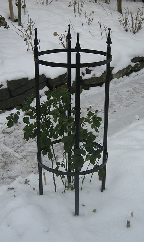 Rosenstütze Rudolf Geschwind ~ Classic Garden Elements DE