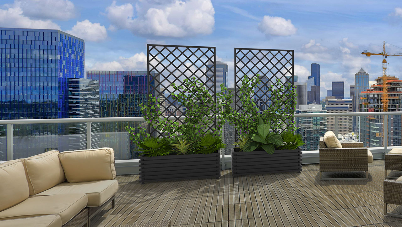 Welche Pflanzen eignen sich als Sichtschutz am Balkon?