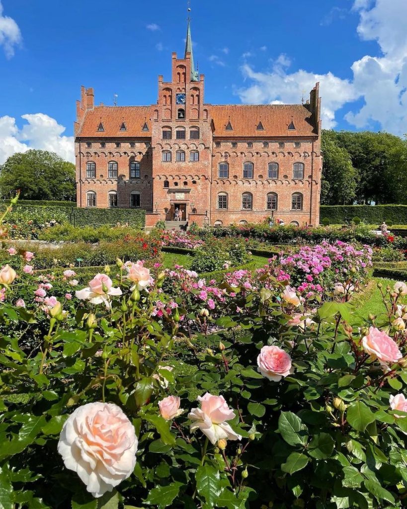 Rosenparadies am Schloss Egeskov in Dänemark